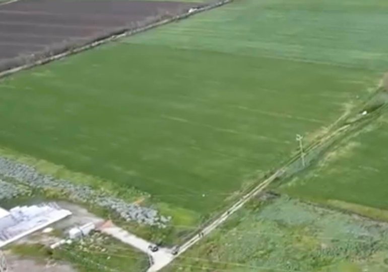 Dalle terre di Sandokanall'alta cucina: così i funghi del riscatto ...